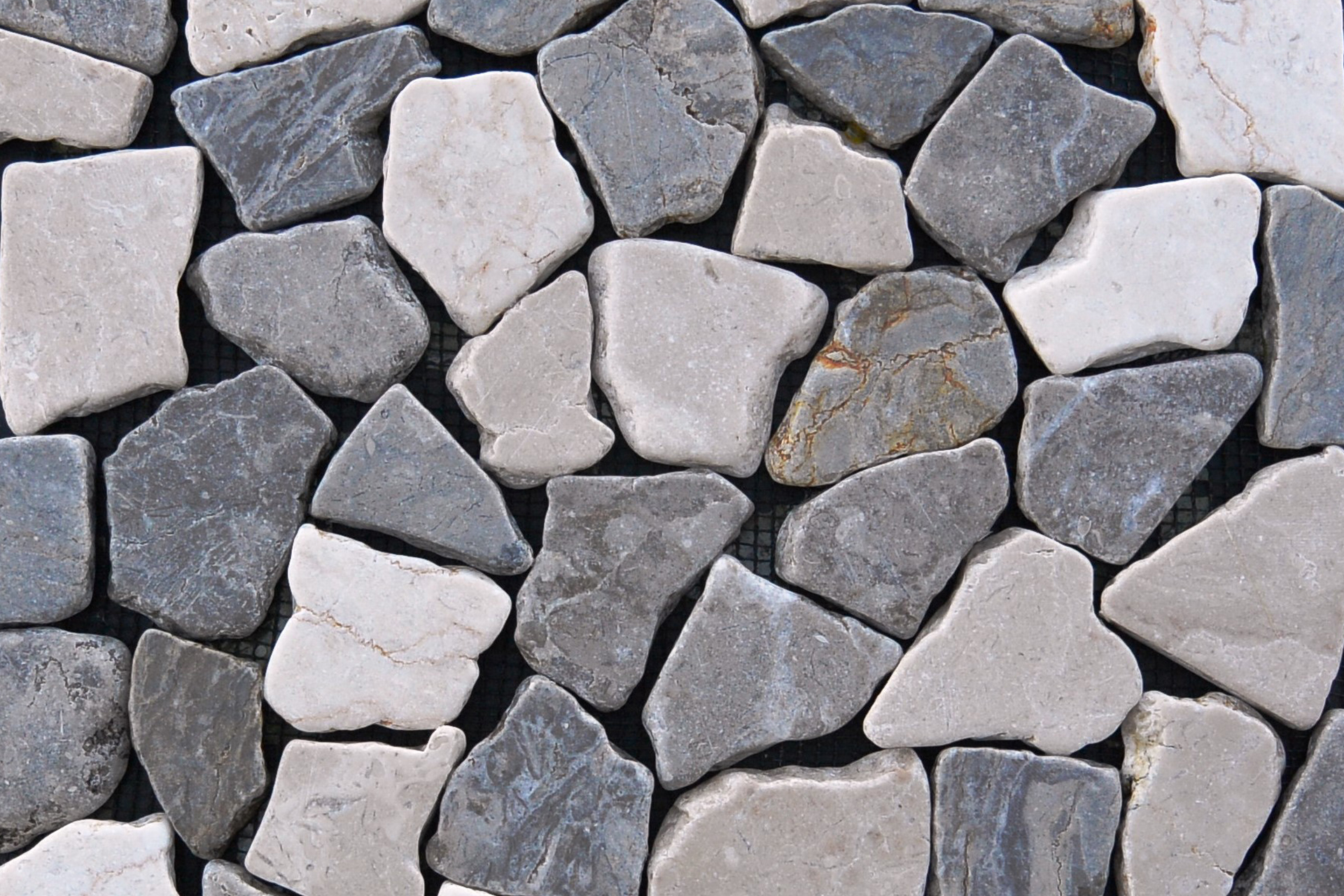 Toemi Studio – Brindle Collection – AIT New Website