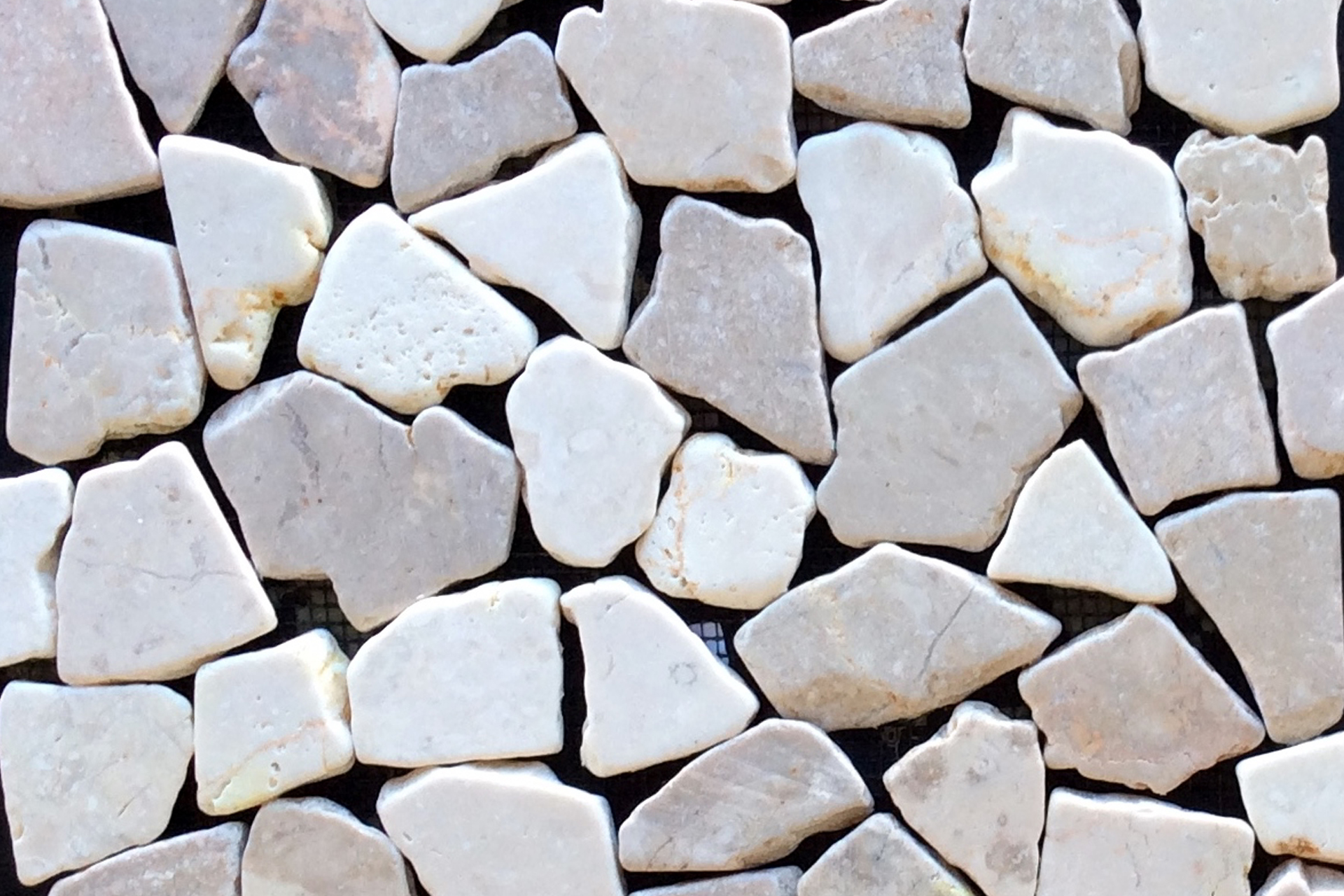 Toemi Studio – Brindle Collection – AIT New Website